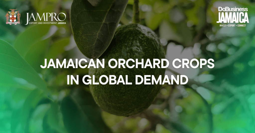 Jamaican Orchard Crops in Demand Globally - Do Business Jamaica